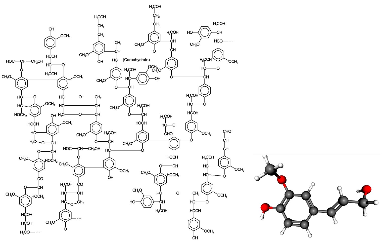 Hiilikädenjälki ja ligniini - Dimensiolehti